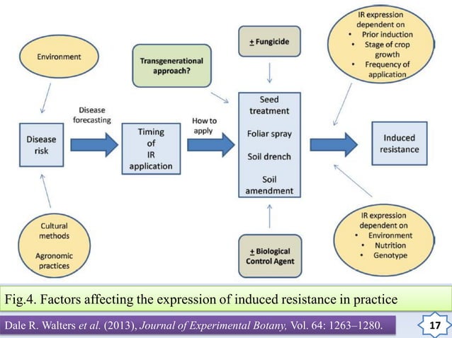 Role of Induced Systemic Resistance (ISR)In Plant Disease Management | PDF