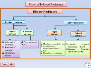 Role of Induced Systemic Resistance (ISR)In Plant Disease Management | PDF