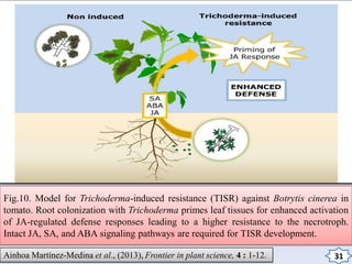 Role of Induced Systemic Resistance (ISR)In Plant Disease Management | PDF