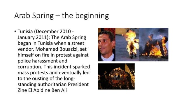 Role of Information in Social Change_The Arab Spring uprising.pdf