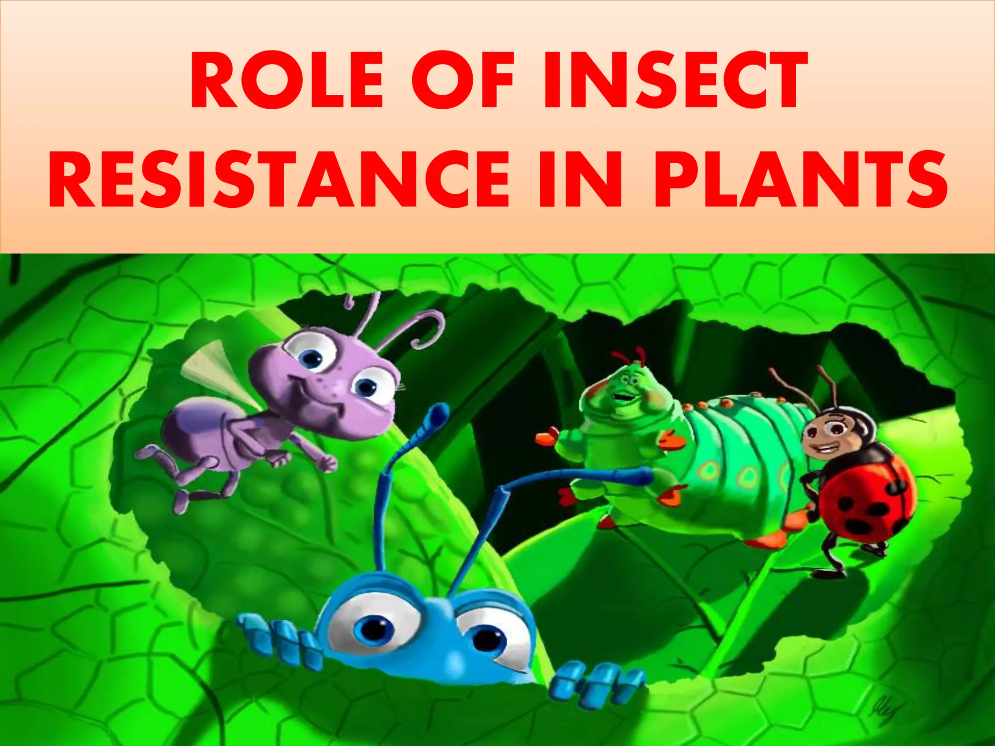 Role of insect resistance in plants | PPTX