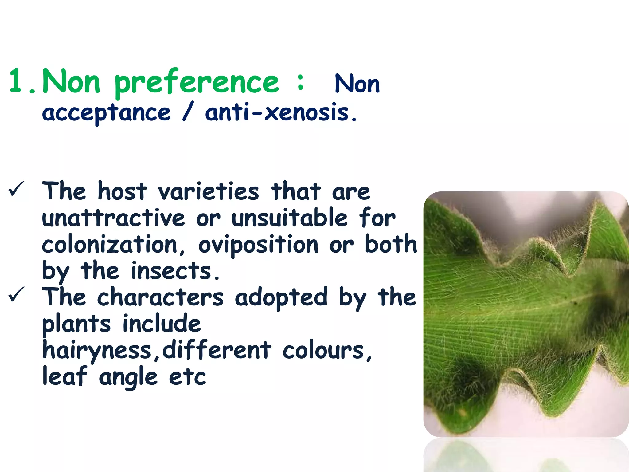 Role of insect resistance in plants | PPTX