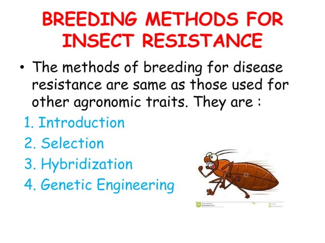 Role of insect resistance in plants | PPT