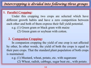 Role of intercropping in weed management.pptx