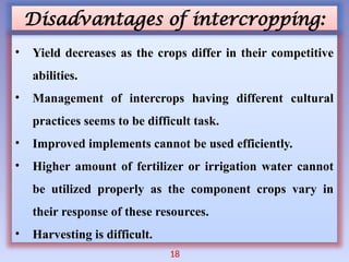 Role of intercropping in weed management.pptx