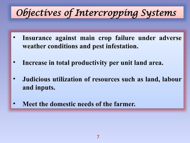 Role of intercropping in weed management.pptx