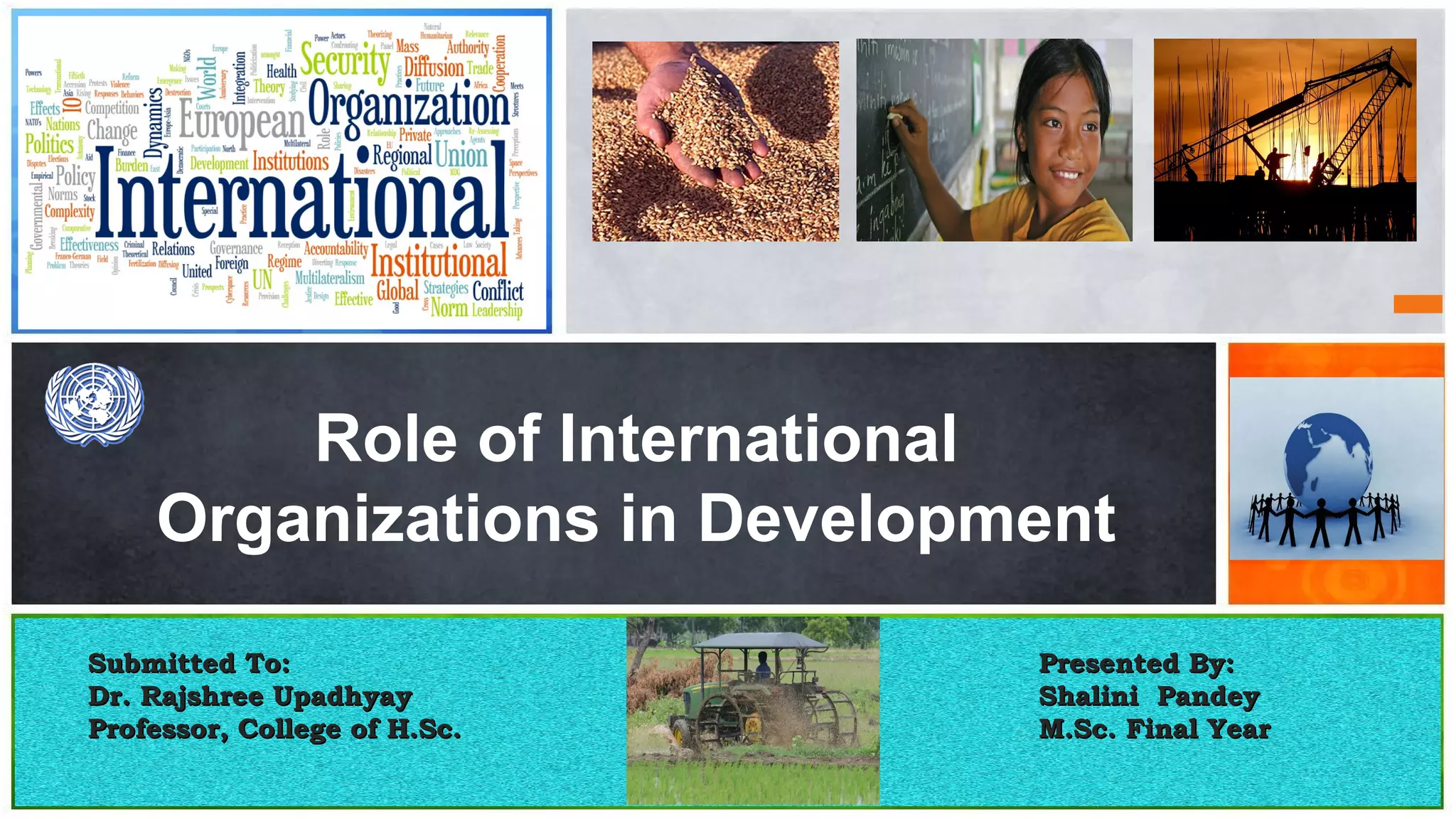 Role of international organization in development | PPT