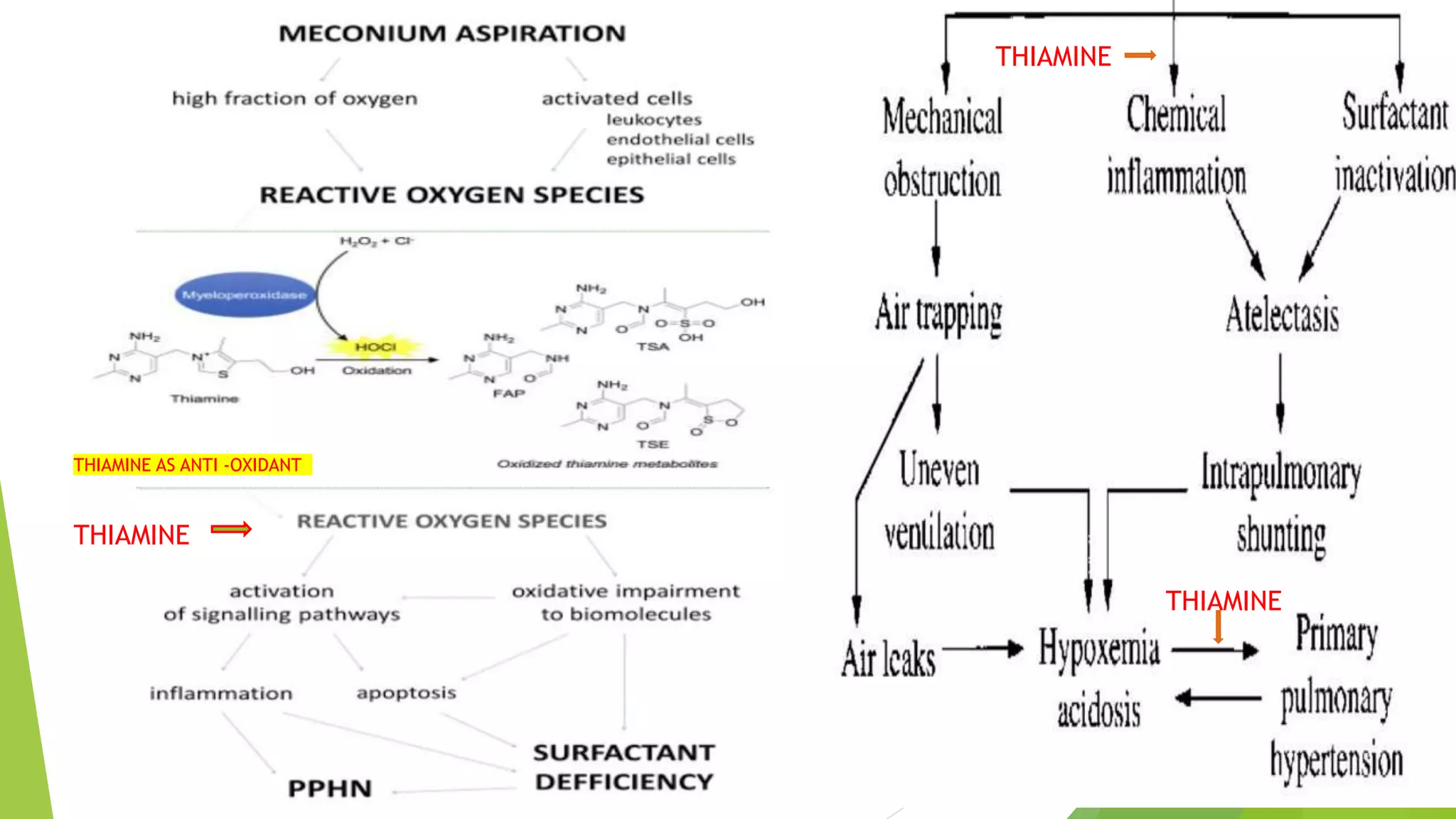 ROLE OF INTRAVENOUS THIAMINE IN NEONATES WITH MECONIUM.pptx