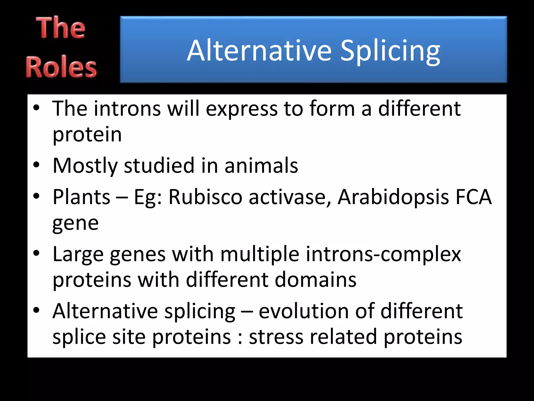 Role of introns in plants | PPTX