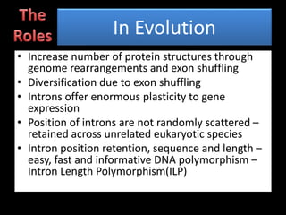 Role of introns in plants | PPTX
