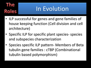 Role of introns in plants | PPTX