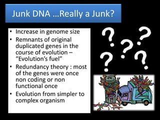 Role of introns in plants | PPTX