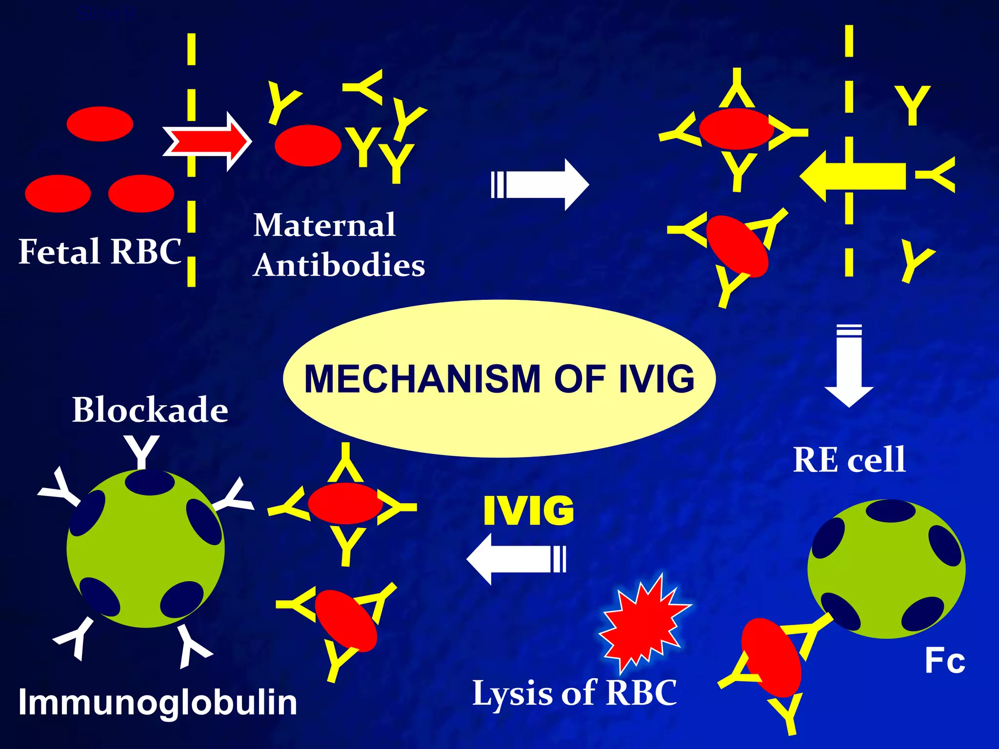 Role of IVIG in the management of neonatal isoimmune hemolytic jaundice | PPSX