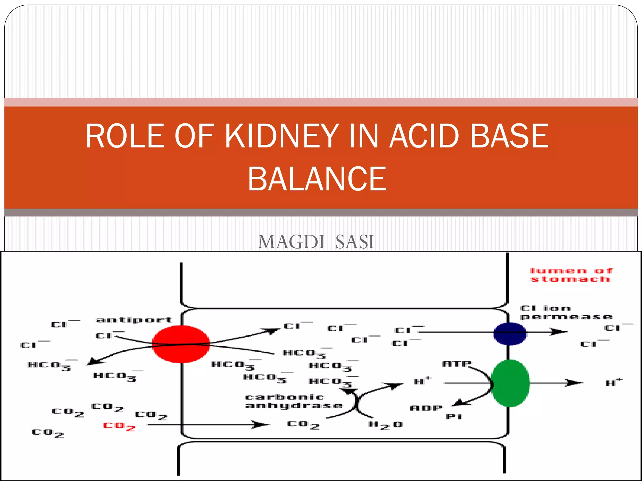 Role of kidney in acid base balance saturday interactive lecture m ...