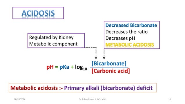 Role of kidney in maintaining acid base balance (pH) by; Dr. Ashok ...