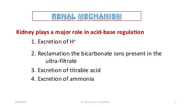 Role of kidney in maintaining acid base balance (pH) by; Dr. Ashok K…