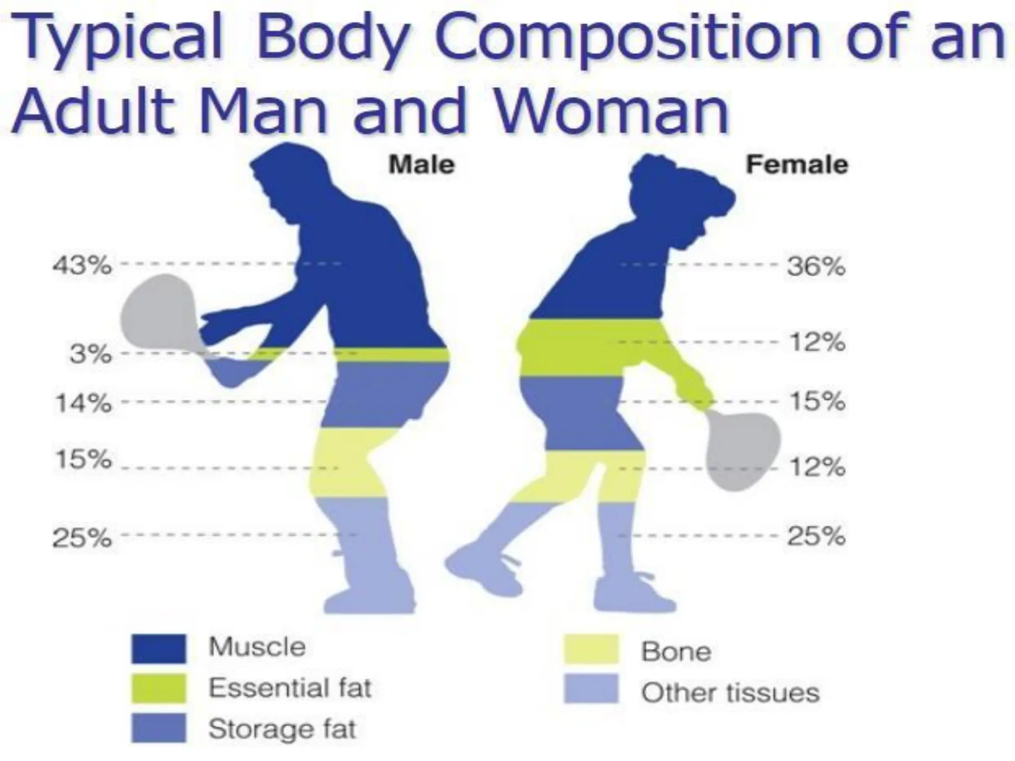 Role of kinanthropometry in sports .pdf. | PDF