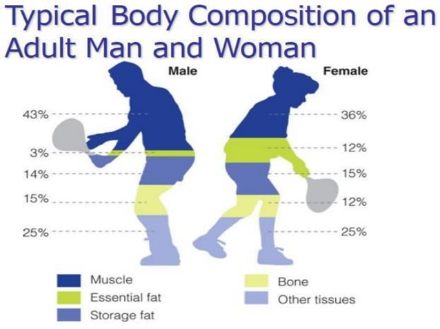 Role of kinanthropometry in sports .pdf. | PDF | Bodybuilding | Sports