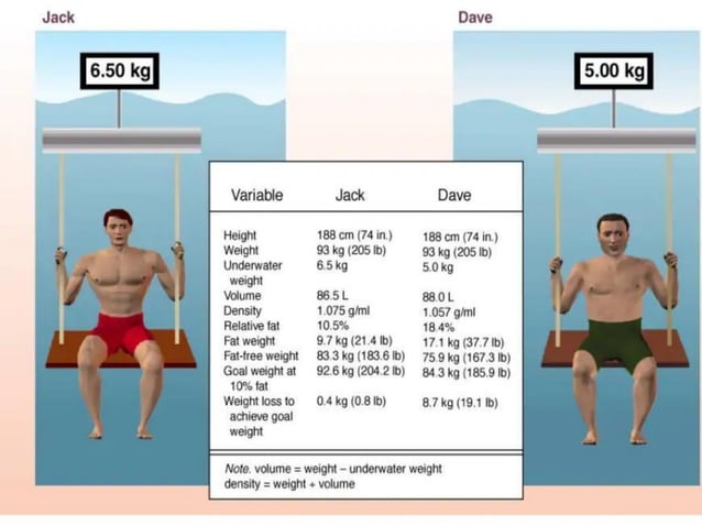 Role of kinanthropometry in sports .pdf. | PDF | Bodybuilding | Sports