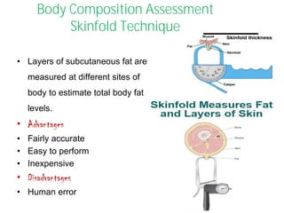 Role of kinanthropometry in sports .pdf. | PDF