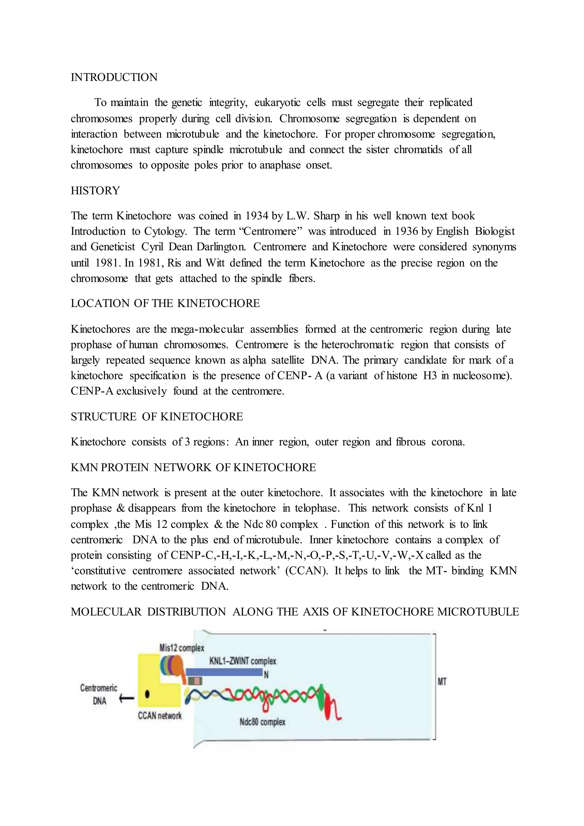 Role of kinetochore in cell division | DOCX