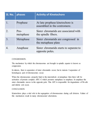 Role of kinetochore in cell division | DOCX