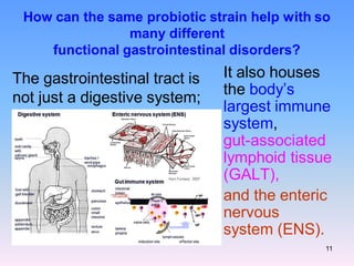 Role of l. reuteri in colic & easy digestion comfortable and healthy ...