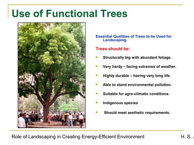 Role of landscaping in creating energy efficient environment | PPT