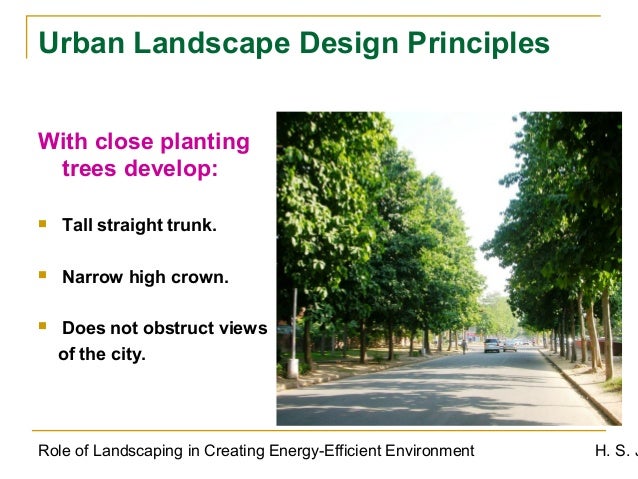 Role of landscaping in creating energy efficient environment