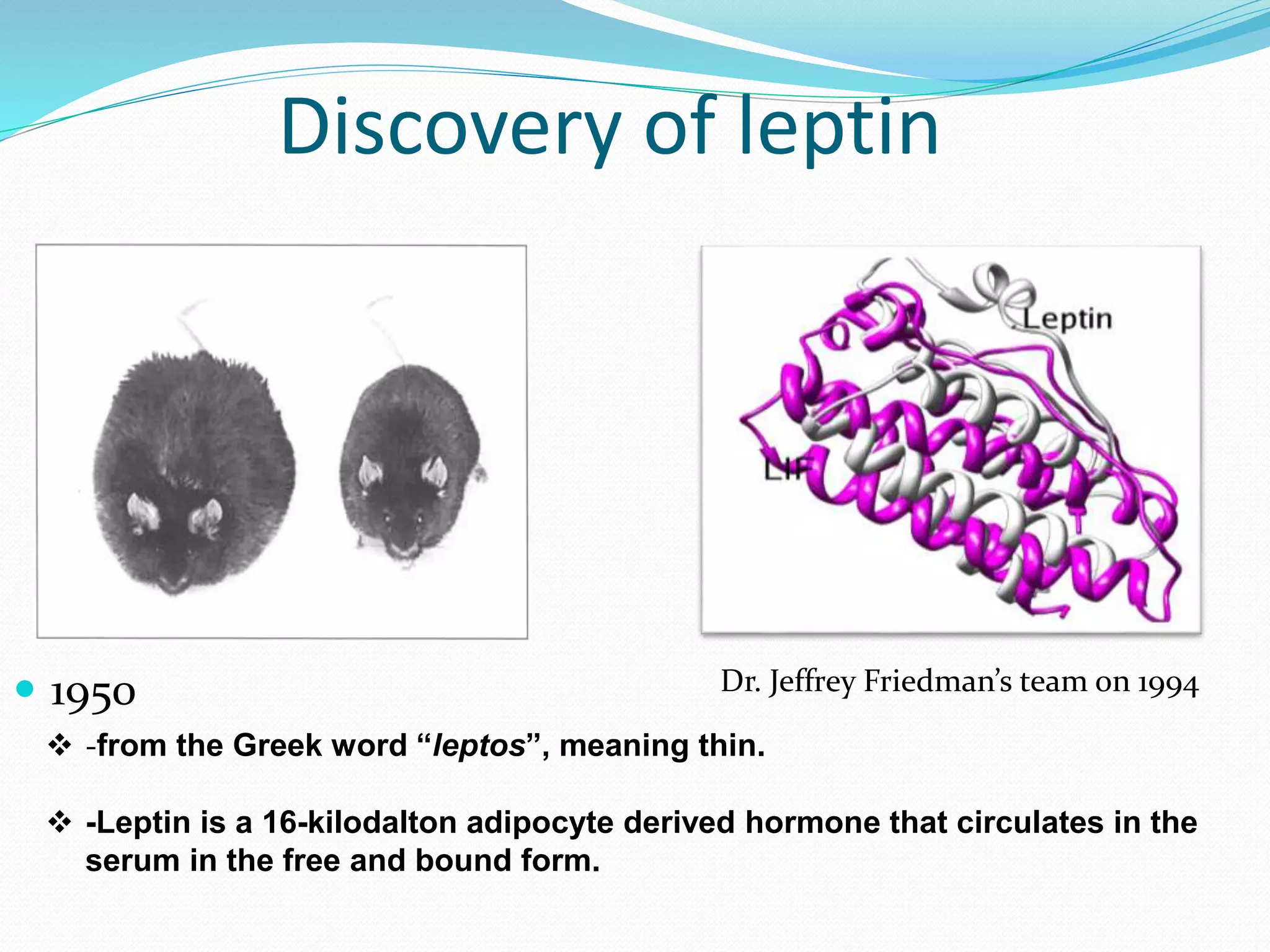 Role of Leptin in Obesity | PPTX