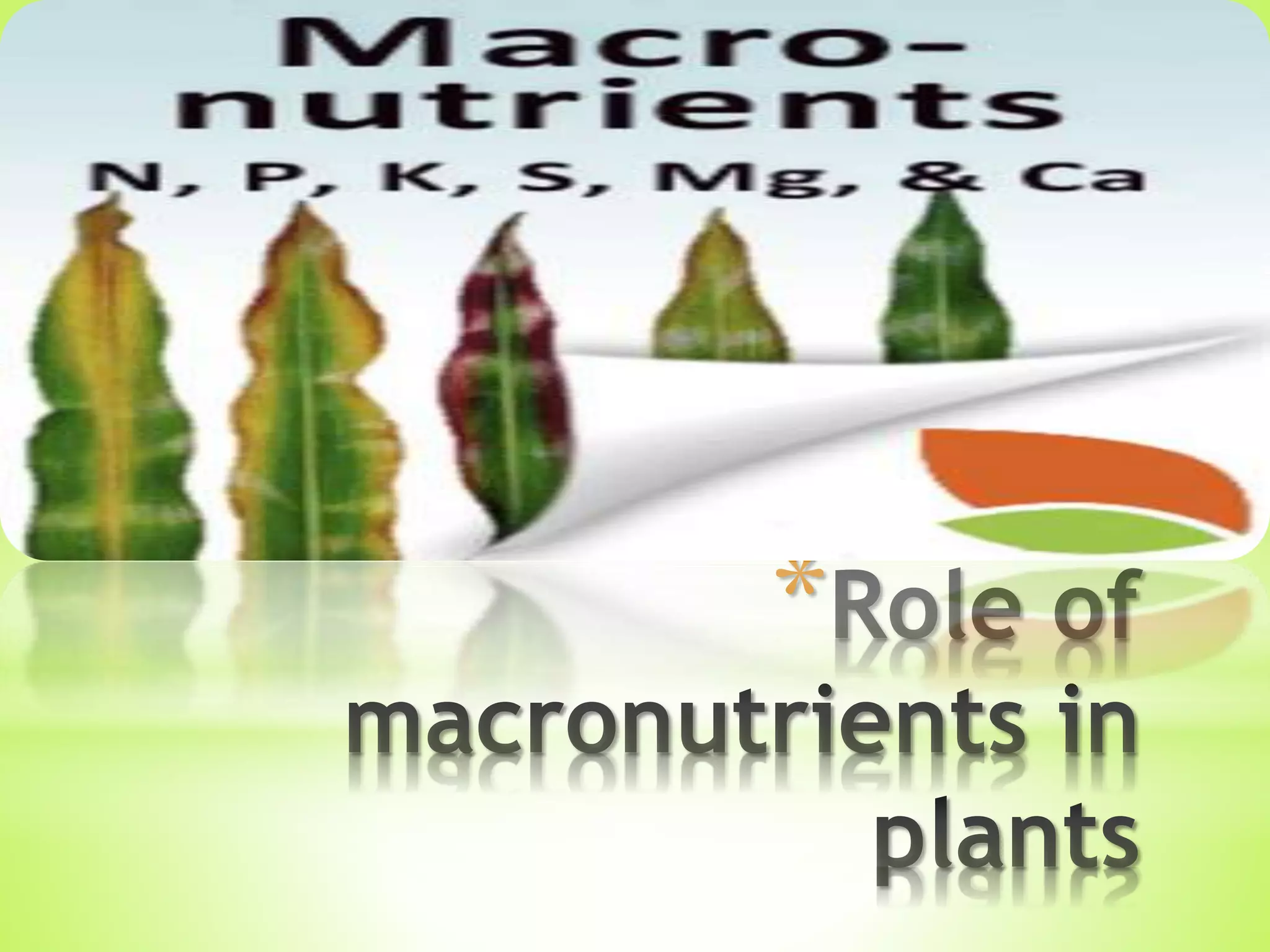 Role of macronutrients in plants | PPTX