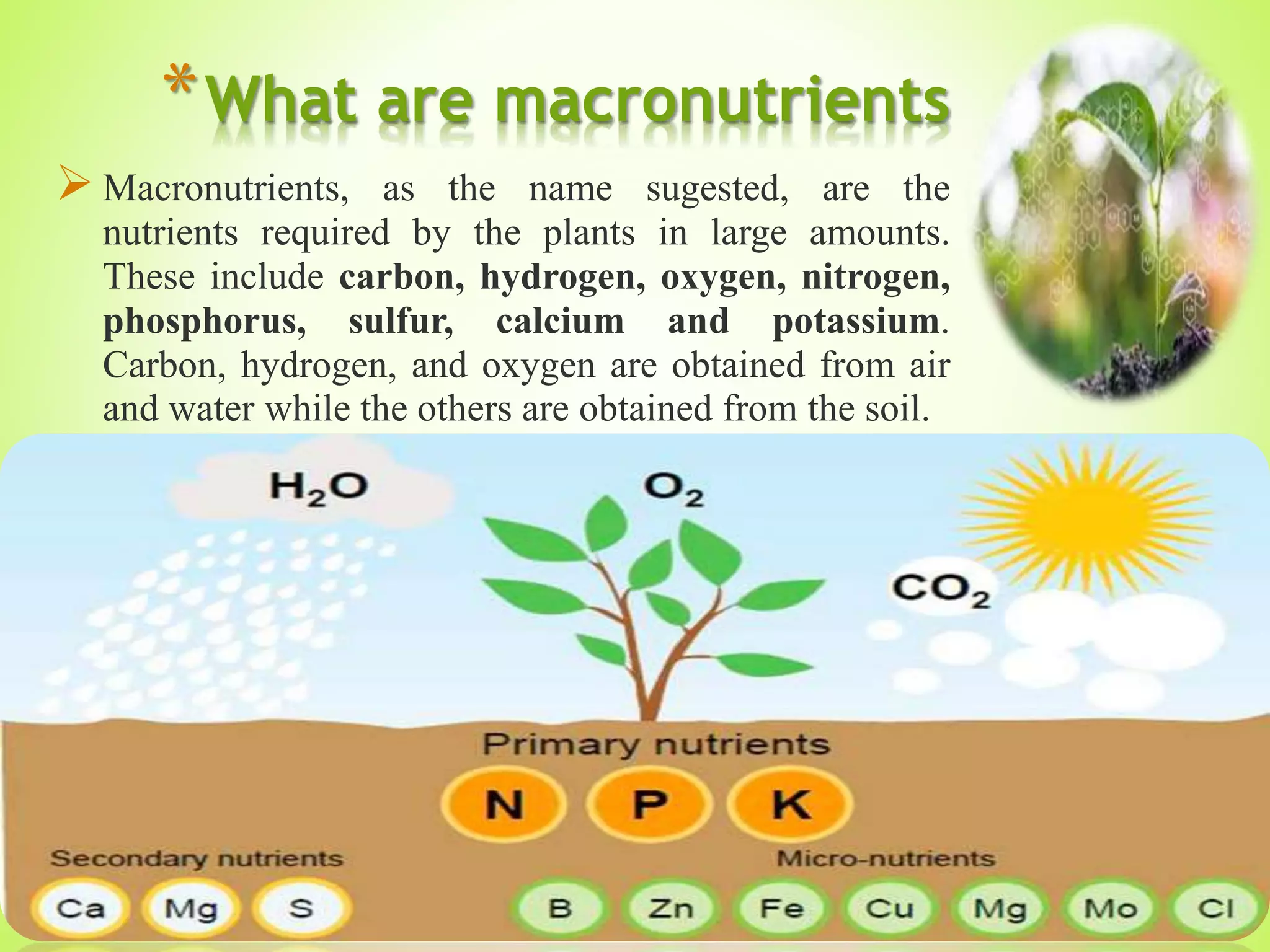 Role of macronutrients in plants | PPTX