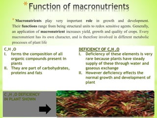 Role of macronutrients in plants | PPTX