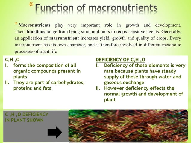 Role of macronutrients in plants | PPTX | Agriculture | Industries