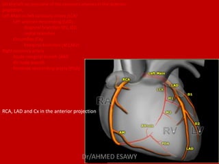 Role of MDCT in coronary artery part 1 (CT anatomy) Dr Ahmed Esawy | PDF