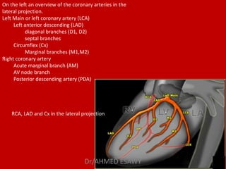 Role of MDCT in coronary artery part 1 (CT anatomy) Dr Ahmed Esawy | PDF