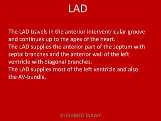 Role of MDCT in coronary artery part 1 (CT anatomy) Dr Ahmed Esawy | PDF