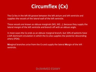 Role of MDCT in coronary artery part 1 (CT anatomy) Dr Ahmed Esawy | PDF