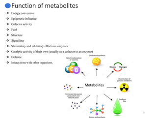 Role of Metabolites in metabolism.pptx