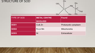 Role of metal based anti oxidants in our body | PPTX