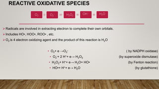 Role of metal based anti oxidants in our body | PPTX