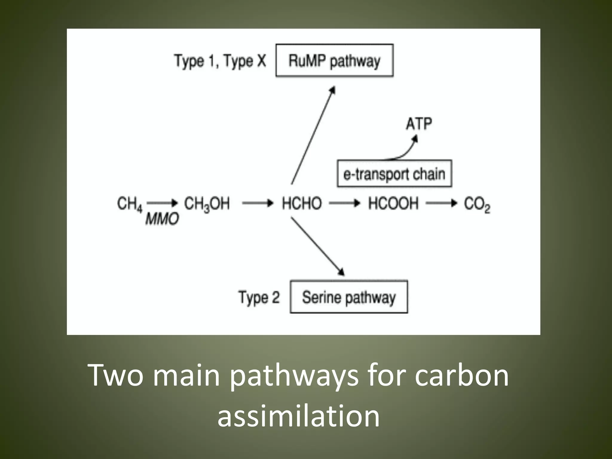Role of methanotrophs in ecosystem | PPTX