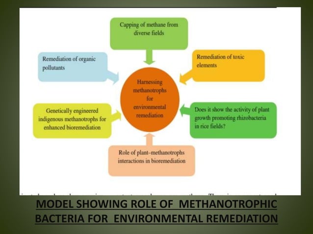 Role of methanotrophs in ecosystem | PPTX | Chemistry | Science