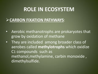 Role of methanotrophs in ecosystem | PPTX