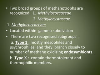 Role of methanotrophs in ecosystem | PPTX