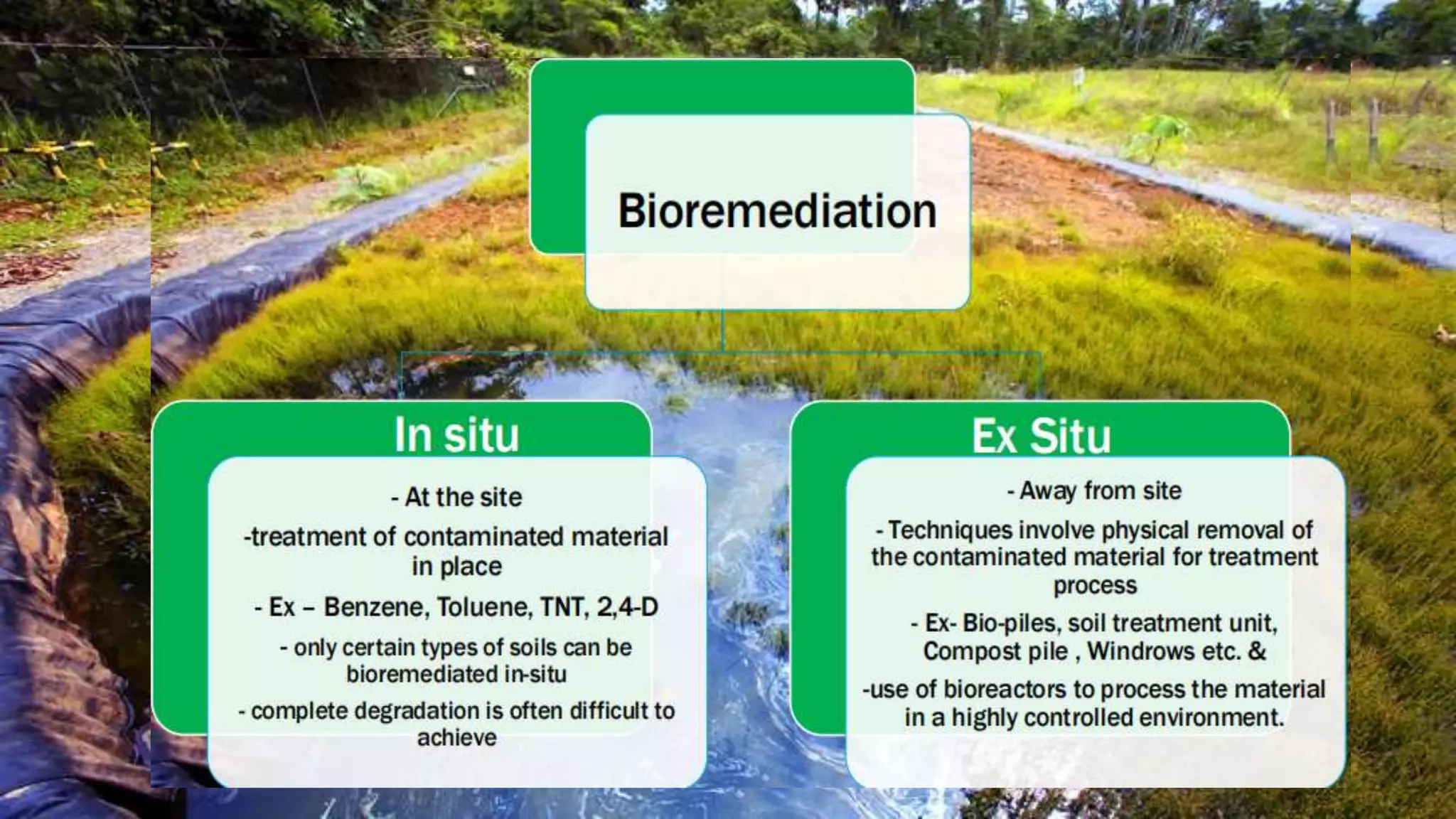 Role of microbes in bioremediation | PPTX