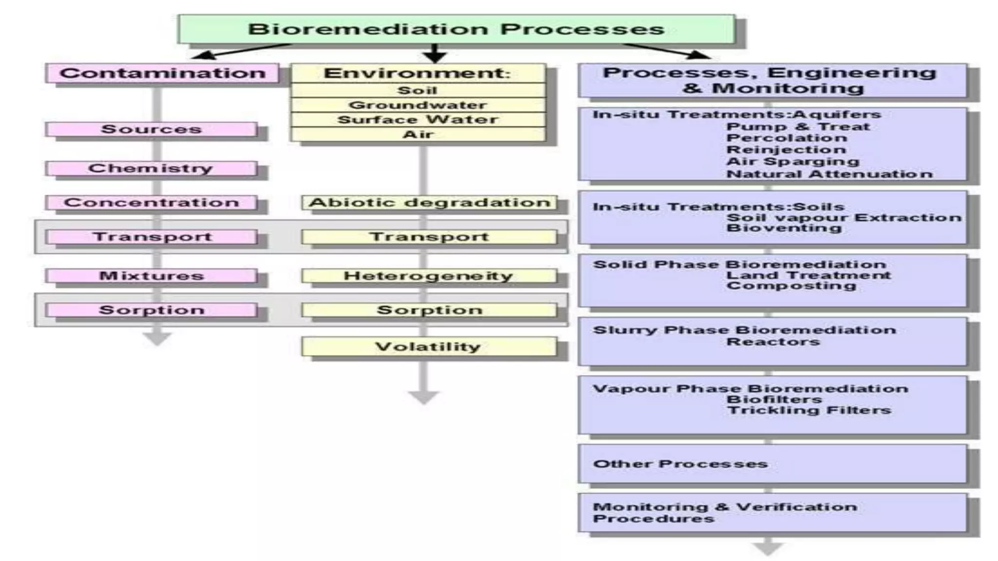 Role of microbes in bioremediation | PPTX