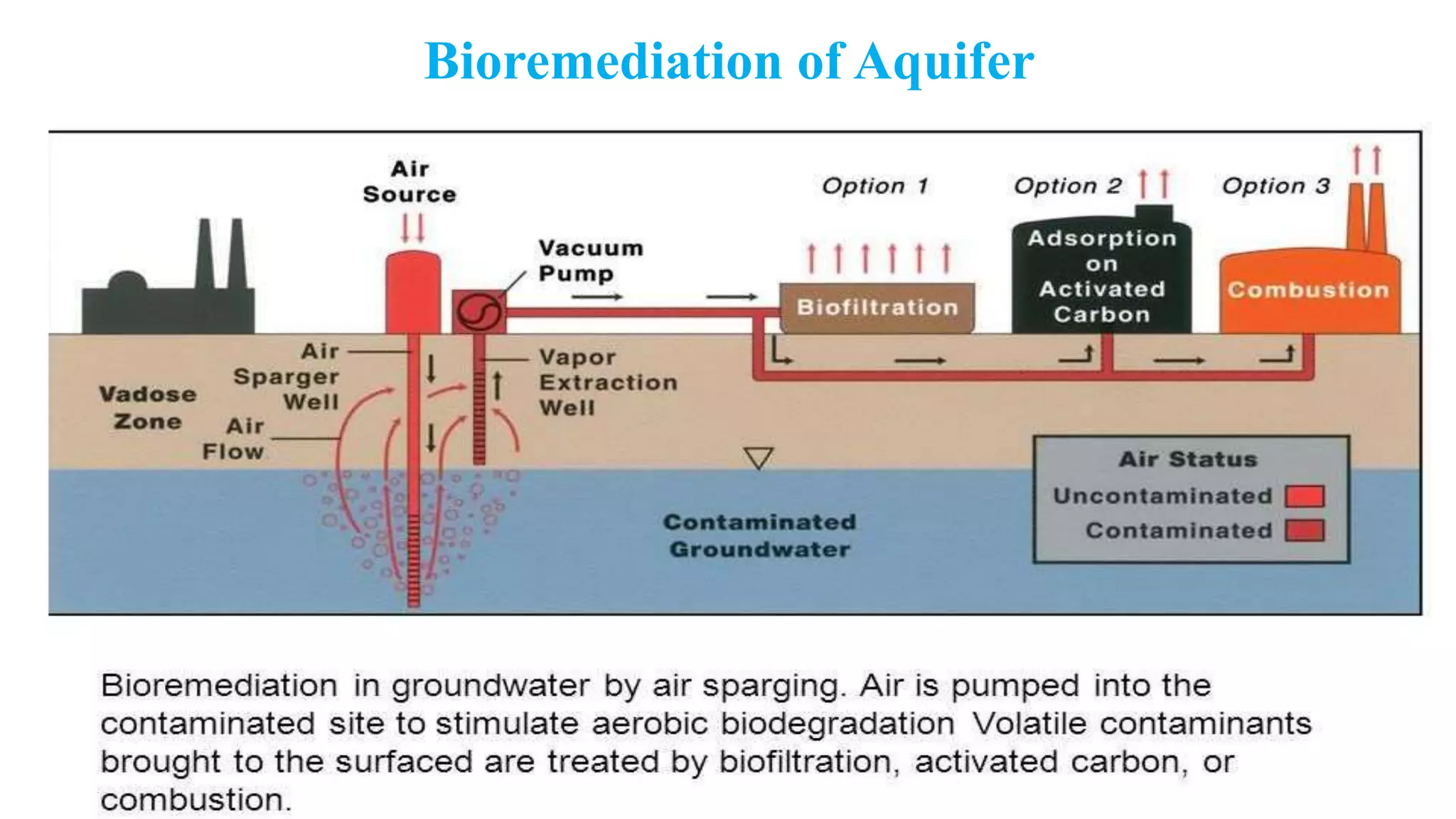 Role of microbes in bioremediation | PPTX
