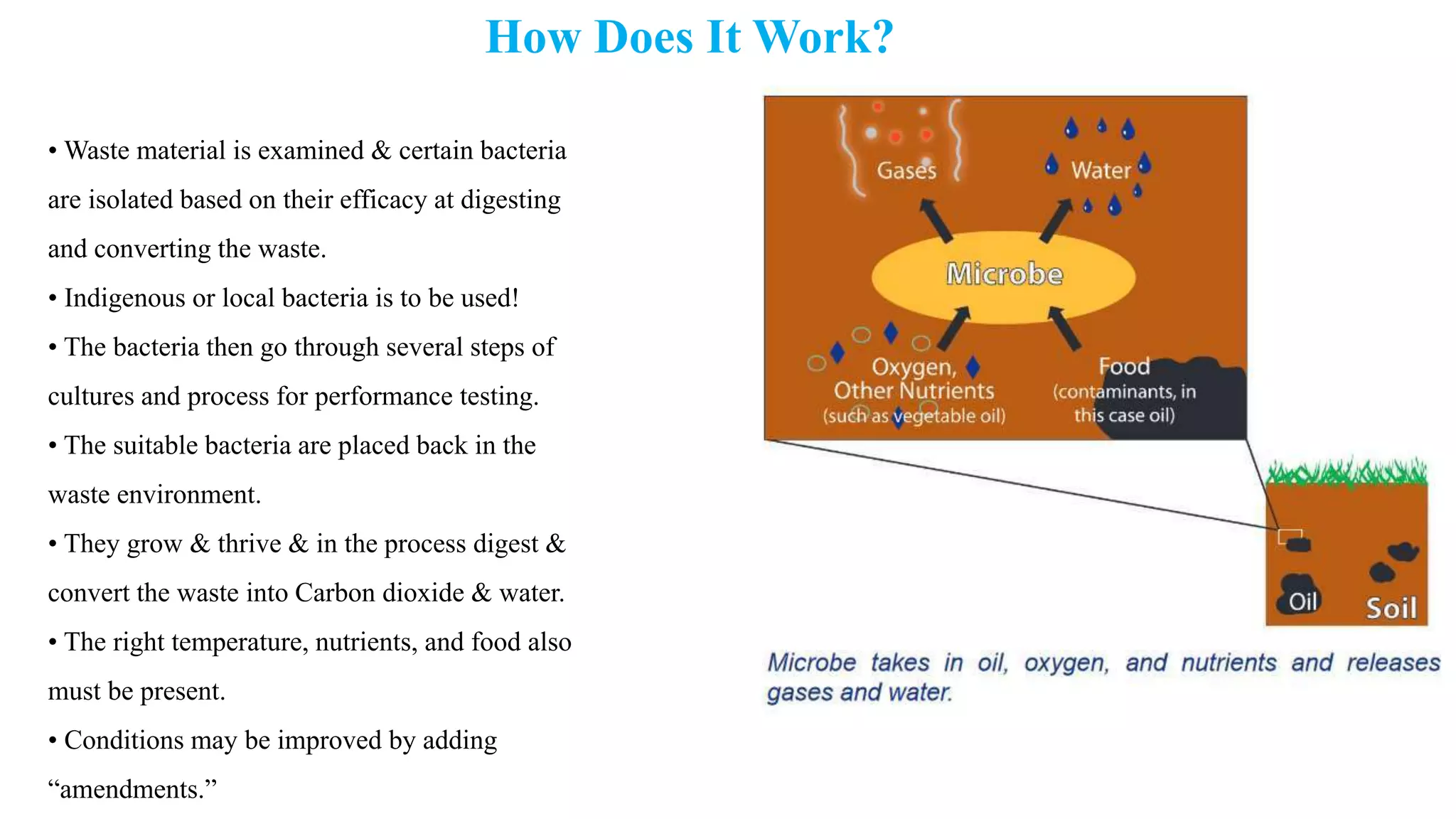 Role of microbes in bioremediation | PPTX