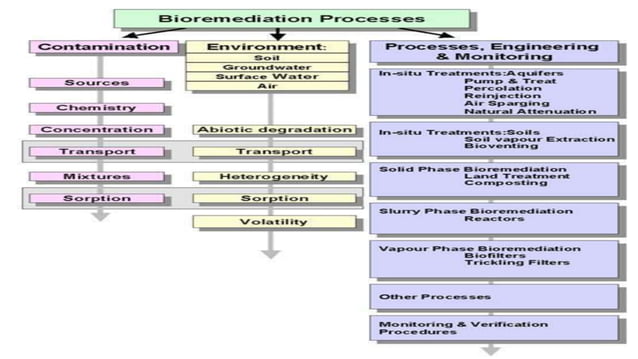 Role of microbes in bioremediation | PPT